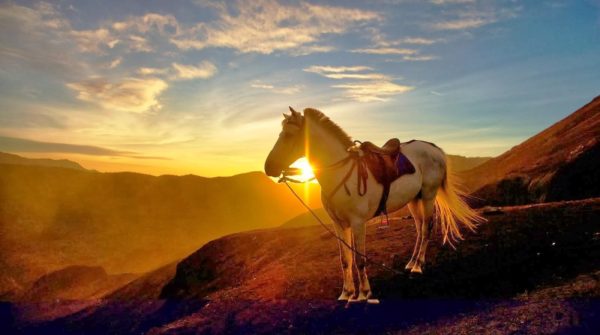 5 Tips for Enjoying Mount Bromo Sunrise, Important for You! - www ...